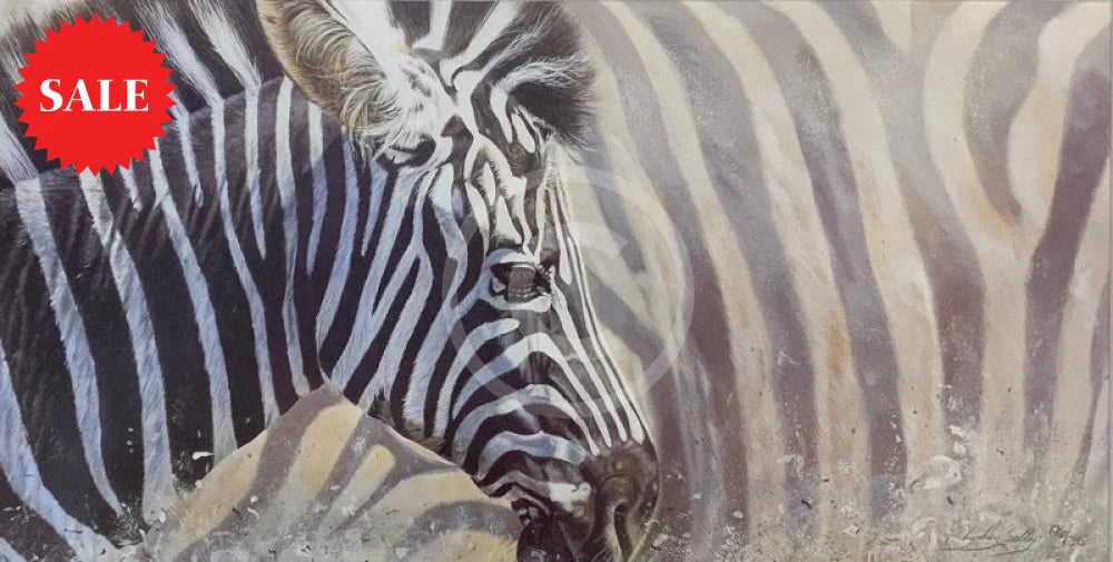 Mix & Match, Zebra Limited Edition Print by Lyndsey Selley