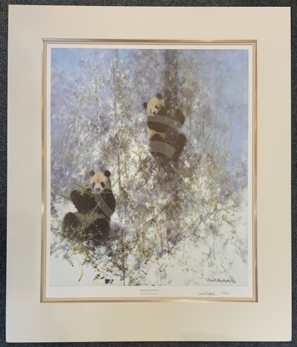 Winter in Wolong by David Shepherd, Panda Wildlife Limited Edition Pri